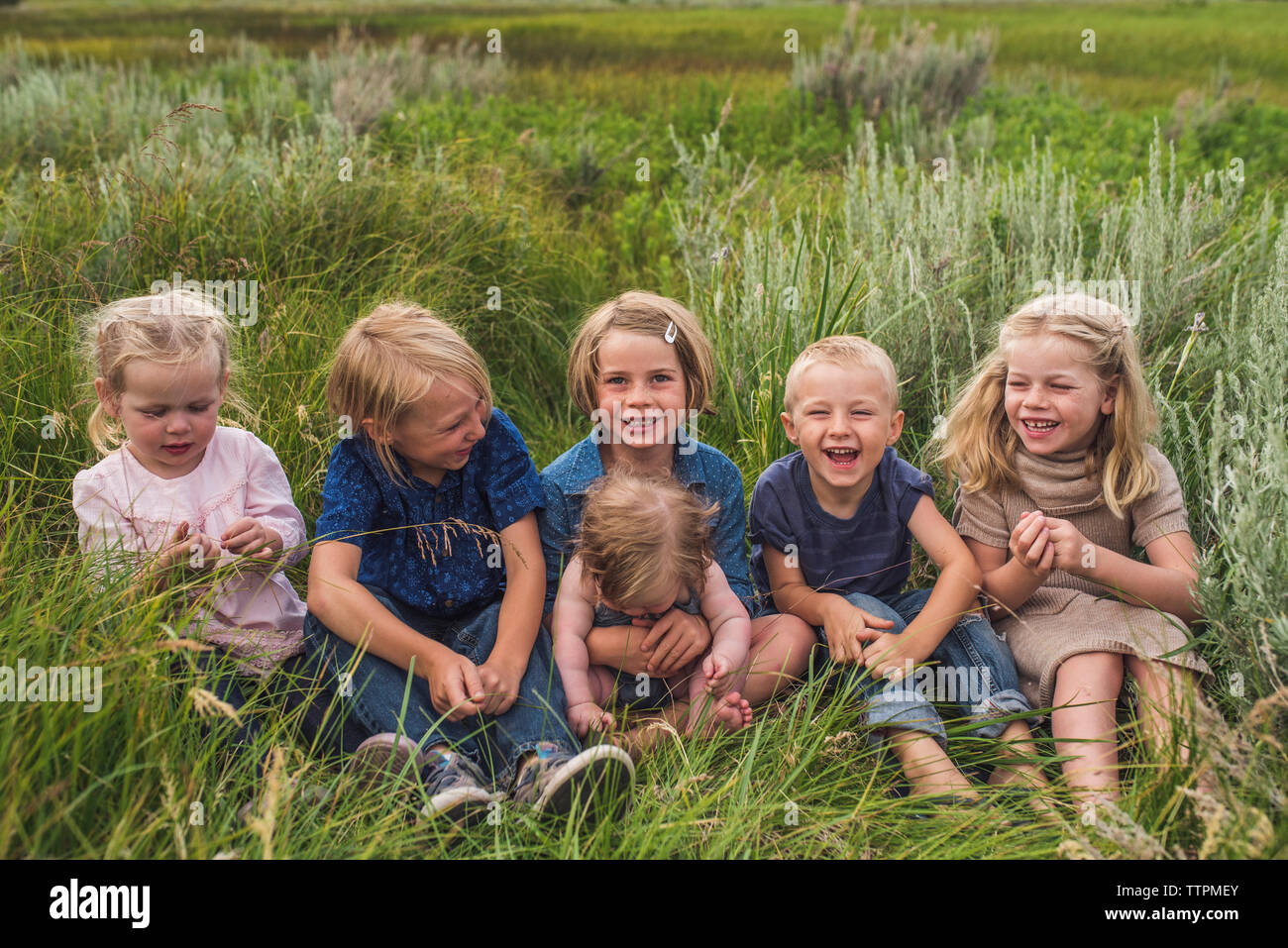 Cute happy friends sitting together on field by plants Stock Photo - Alamy