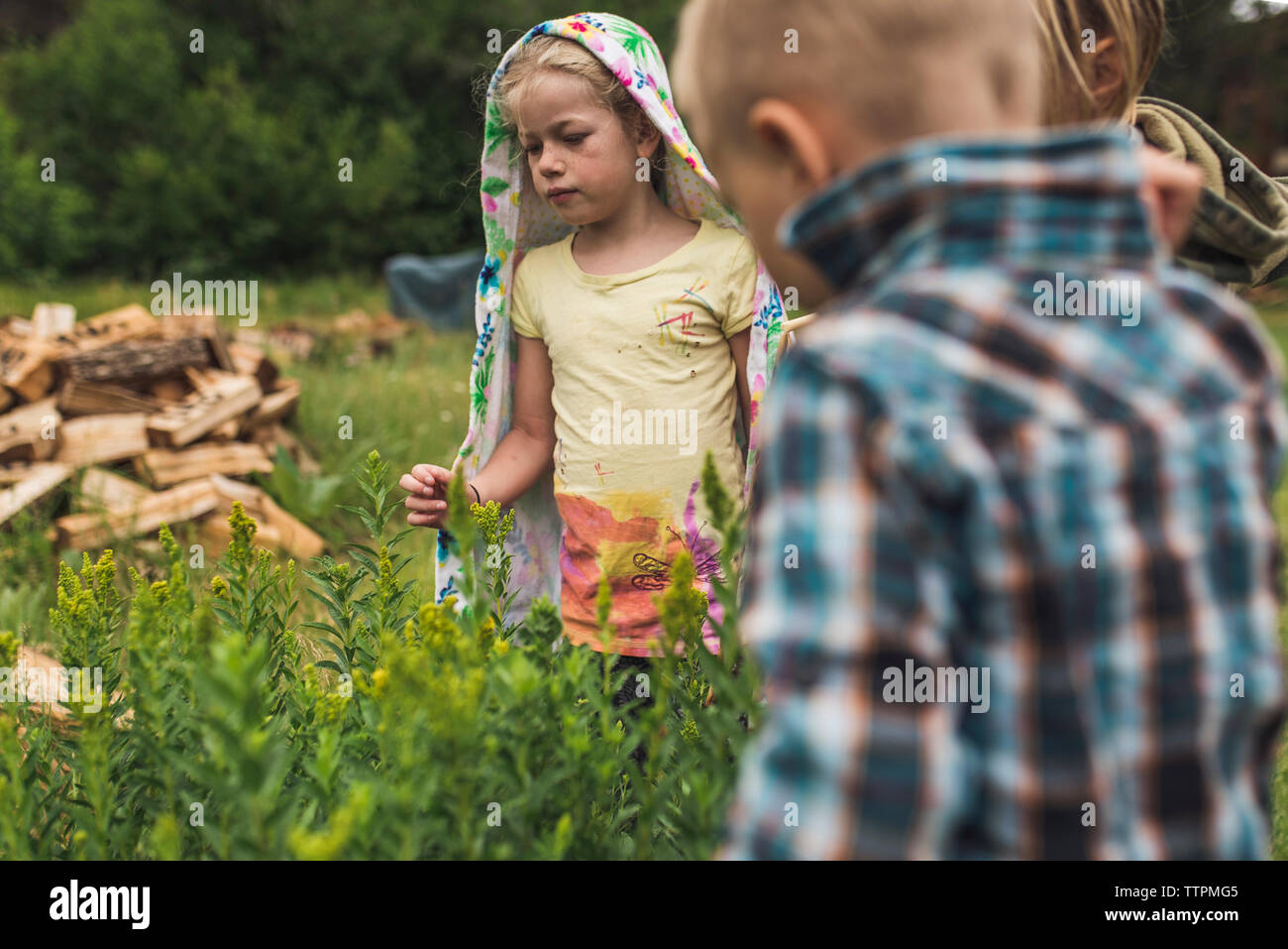 Boy and girl standing in forest hi-res stock photography and images - Alamy