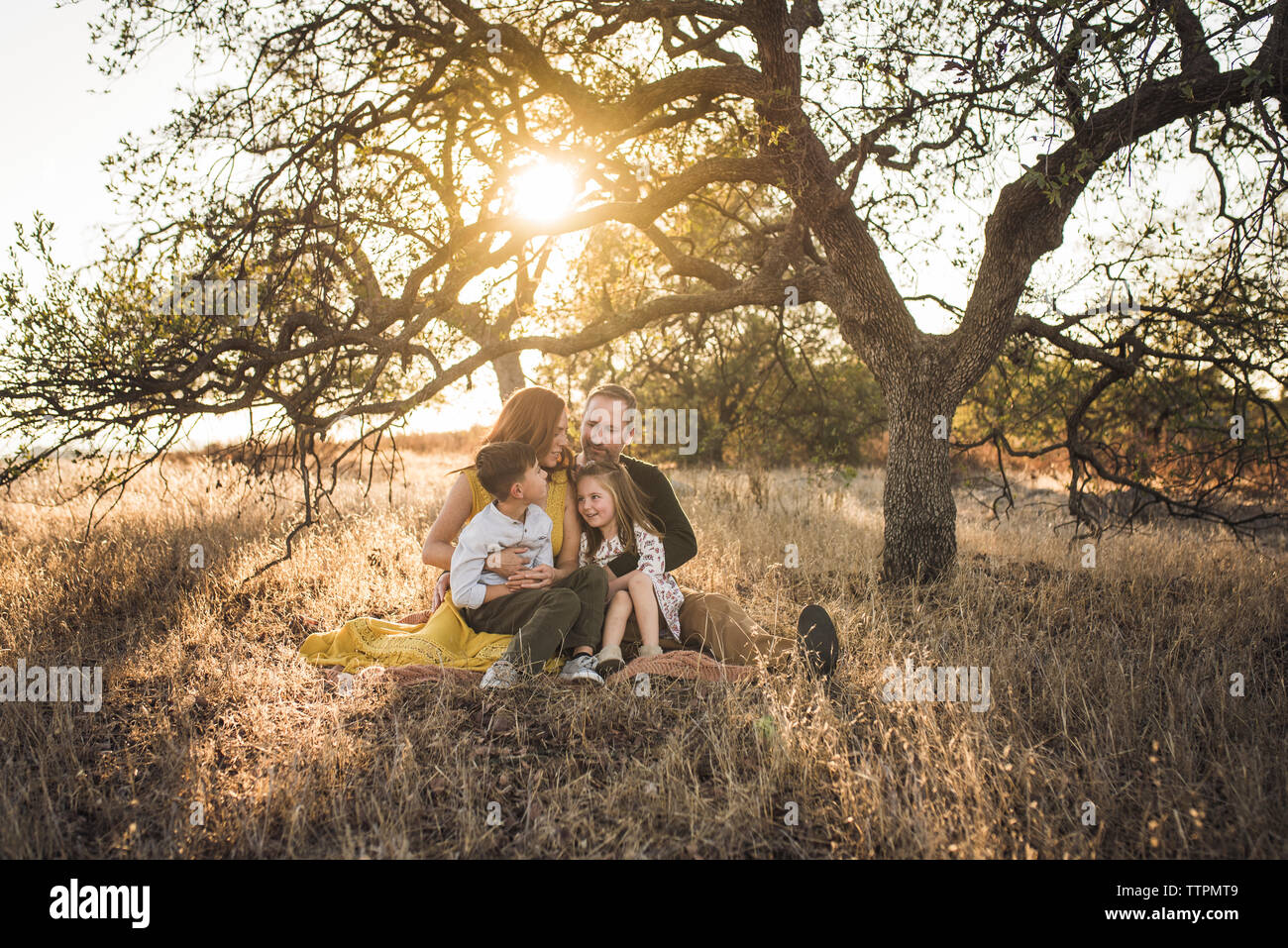 Family cuddling on blanket under tree in California field Stock Photo ...