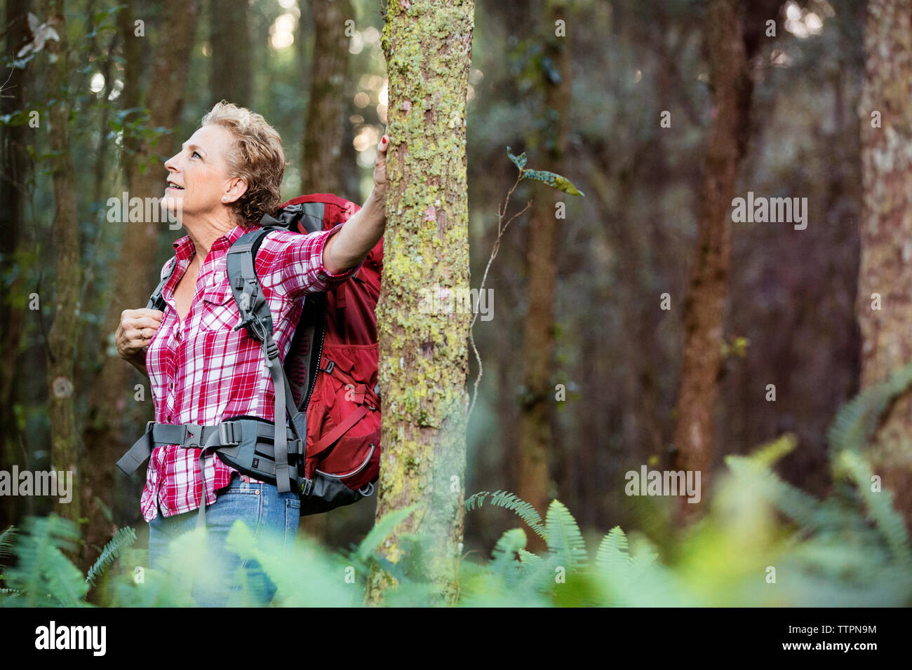 Happy senior woman carrying backpack standing against trees in forest ...