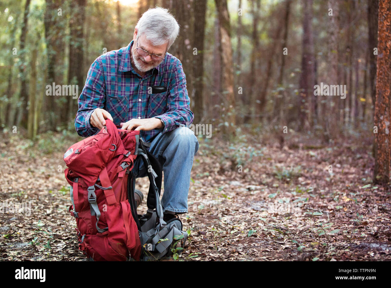 Senior man looking in backpack while sitting against trees in forest ...