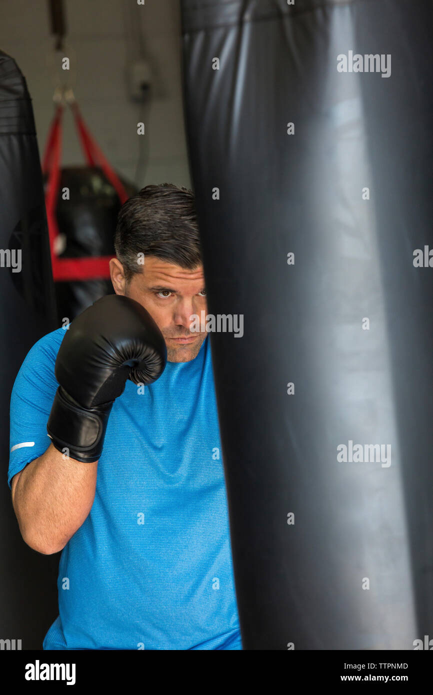 Male boxer practicing in gym Stock Photo - Alamy