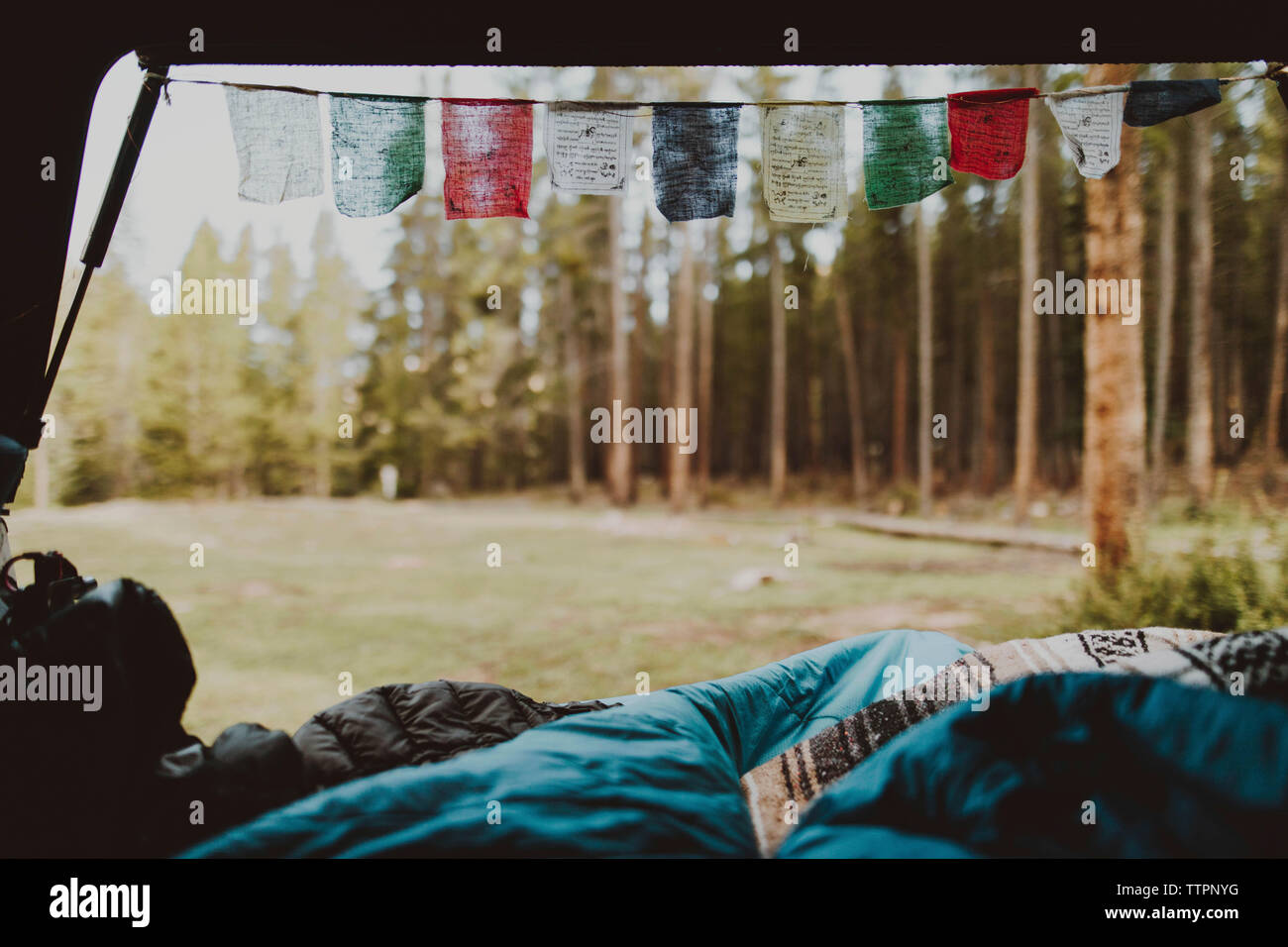 Prayer flags hanging in car trunk at forest Stock Photo - Alamy