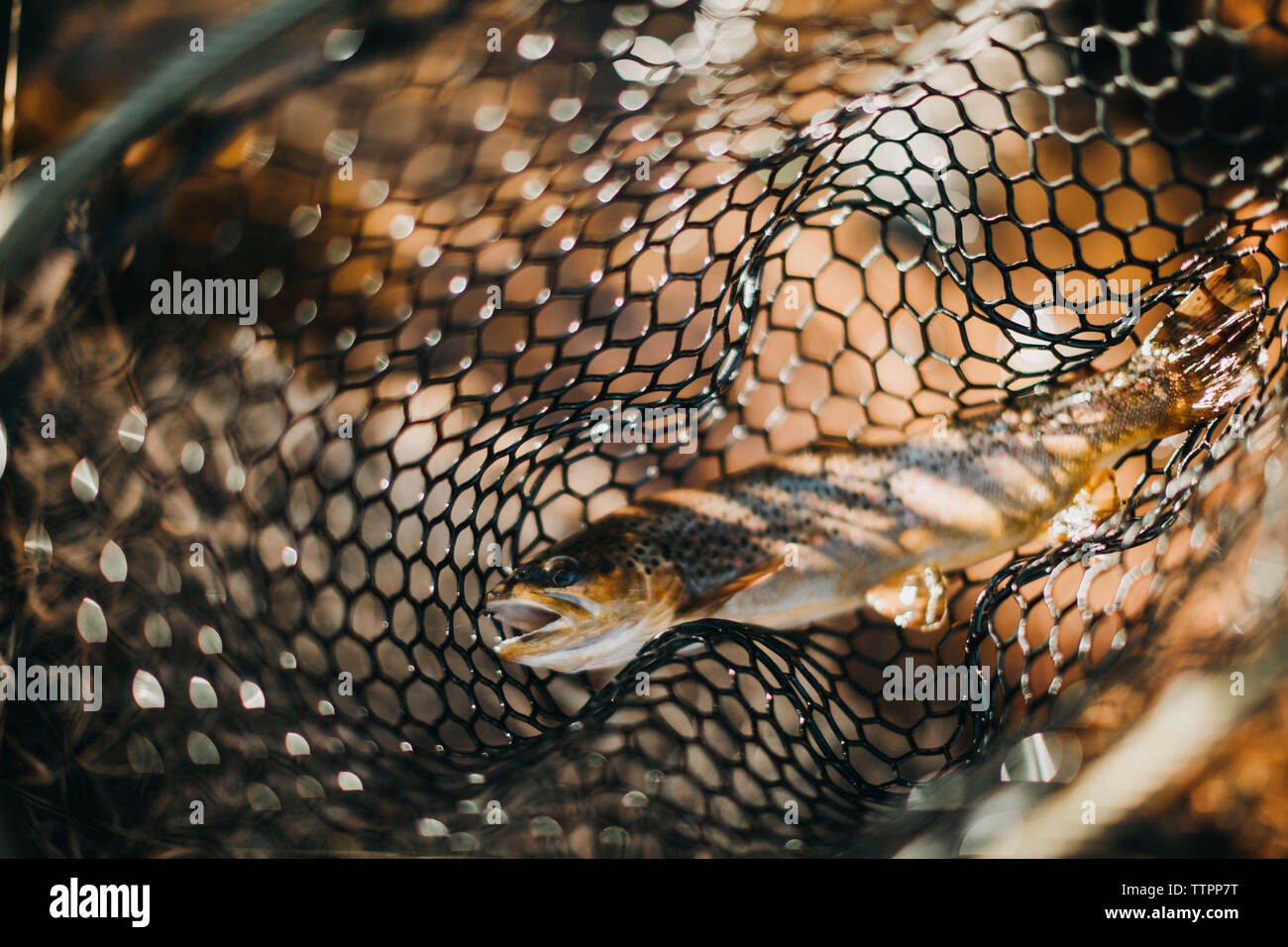 Fish net view hi-res stock photography and images - Alamy