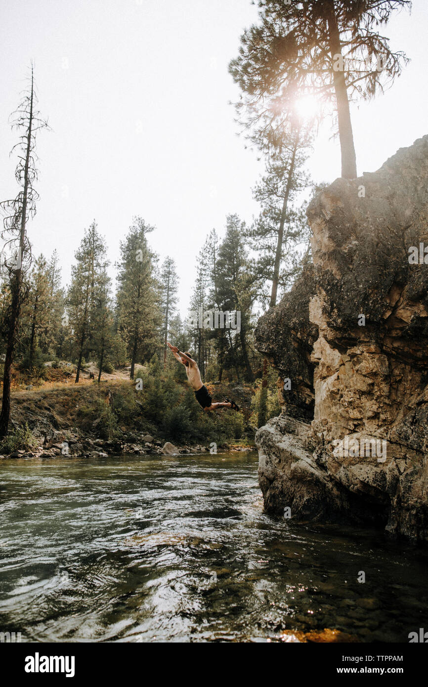 Shirtless man diving in river against clear sky at forest Stock Photo ...
