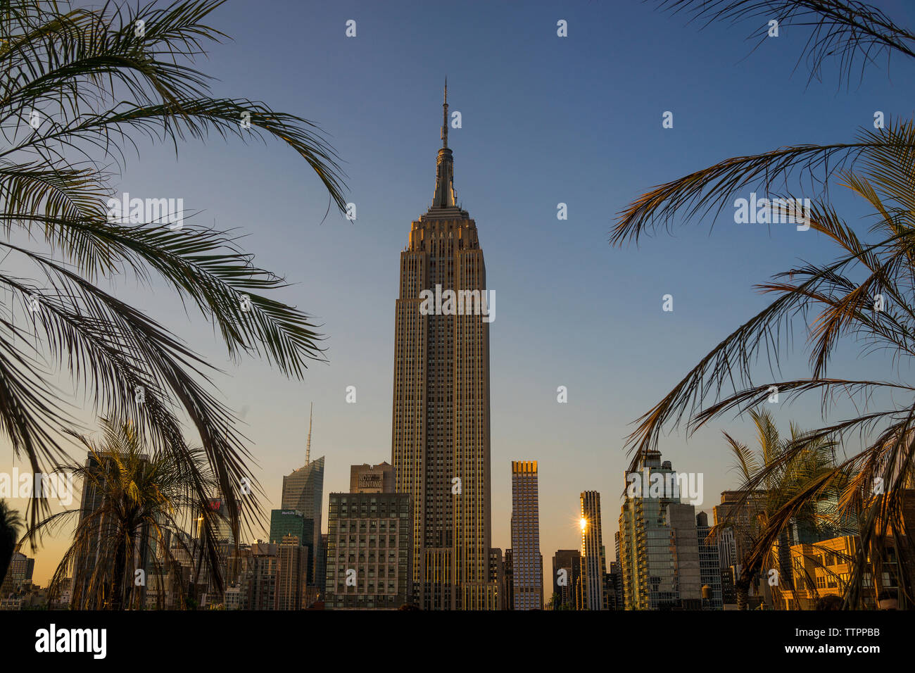 Empire state building low angle hi-res stock photography and images - Alamy