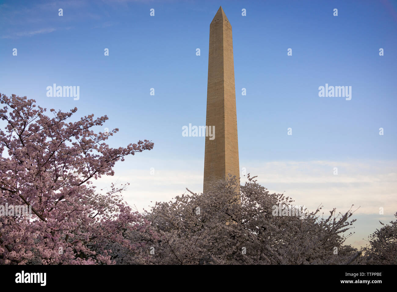 View to obelisk hi-res stock photography and images - Alamy