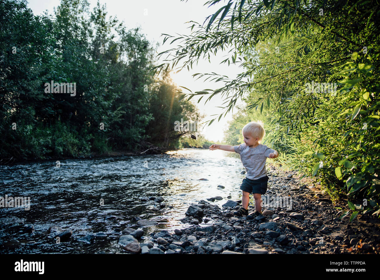 Playful boy throwing pebbles in river Stock Photo - Alamy