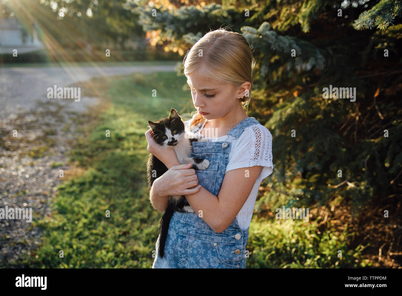 Child holding cat hi-res stock photography and images - Alamy