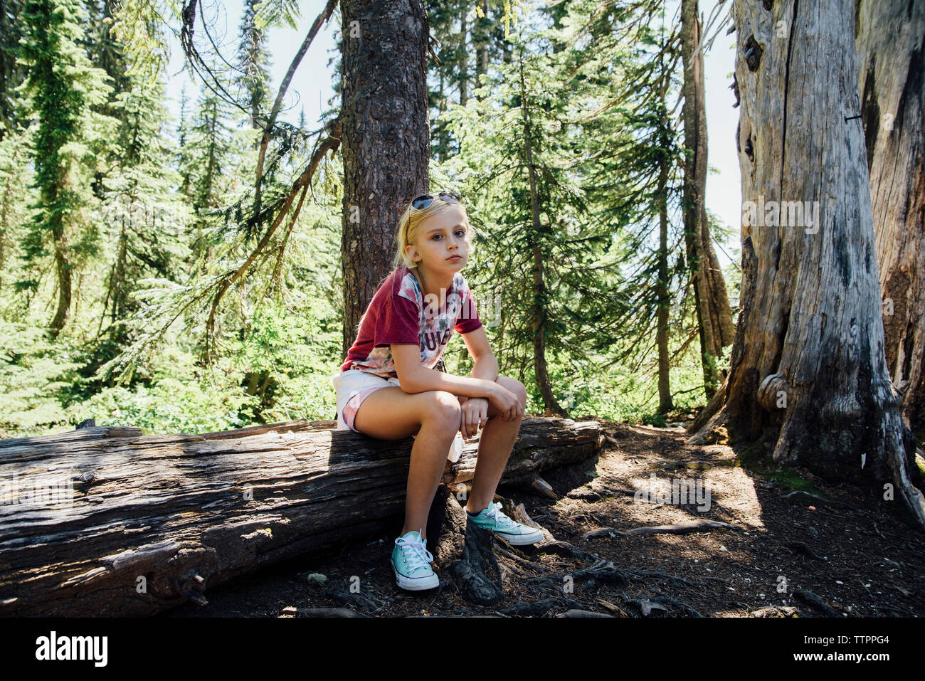 Log in forest hi-res stock photography and images - Alamy