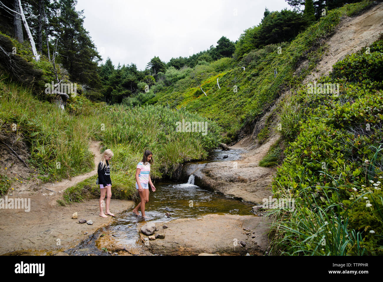 Full length of girls walking by stream in forest Stock Photo - Alamy