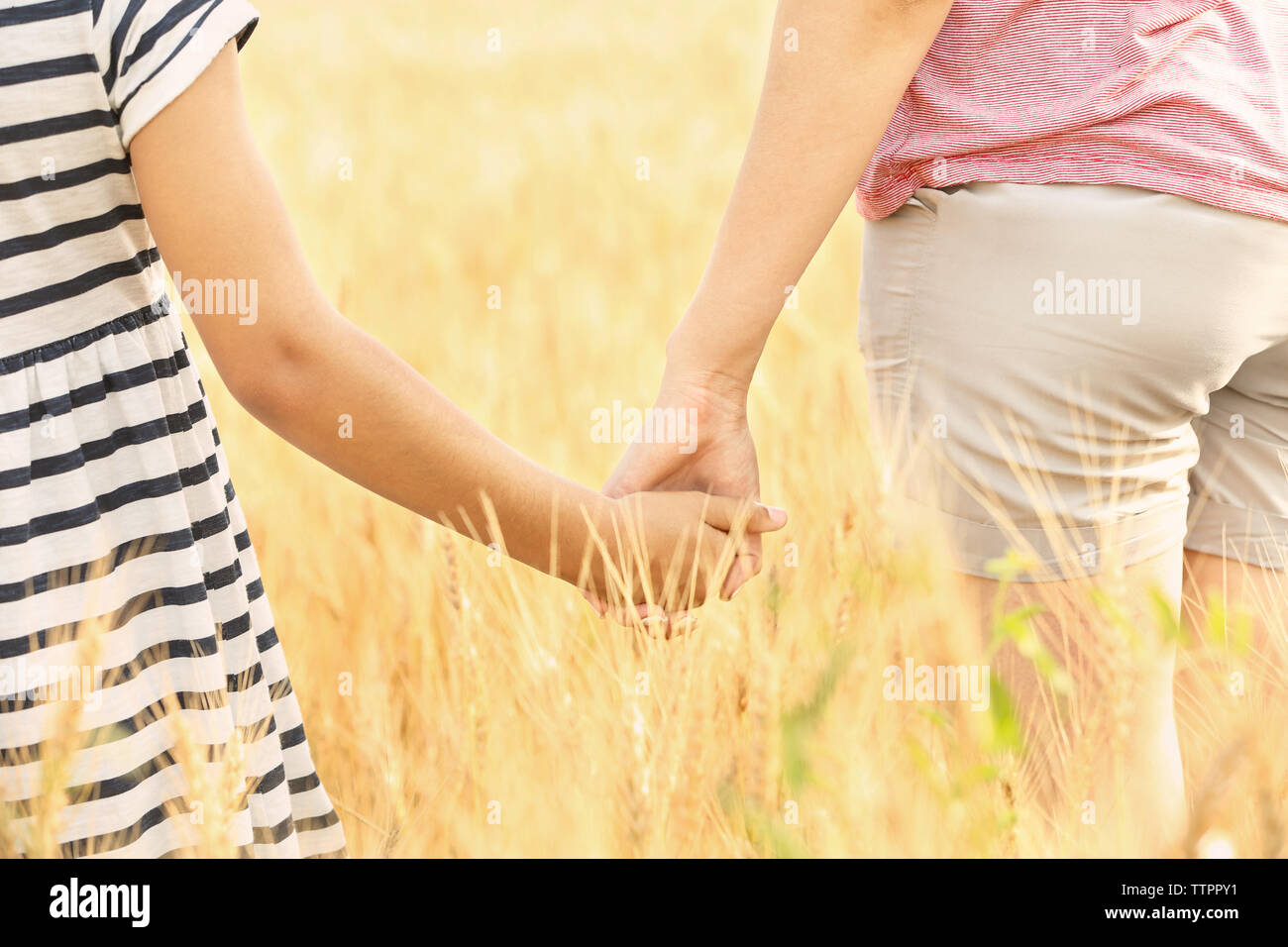 Parent and child holding hands outdoor Stock Photo - Alamy