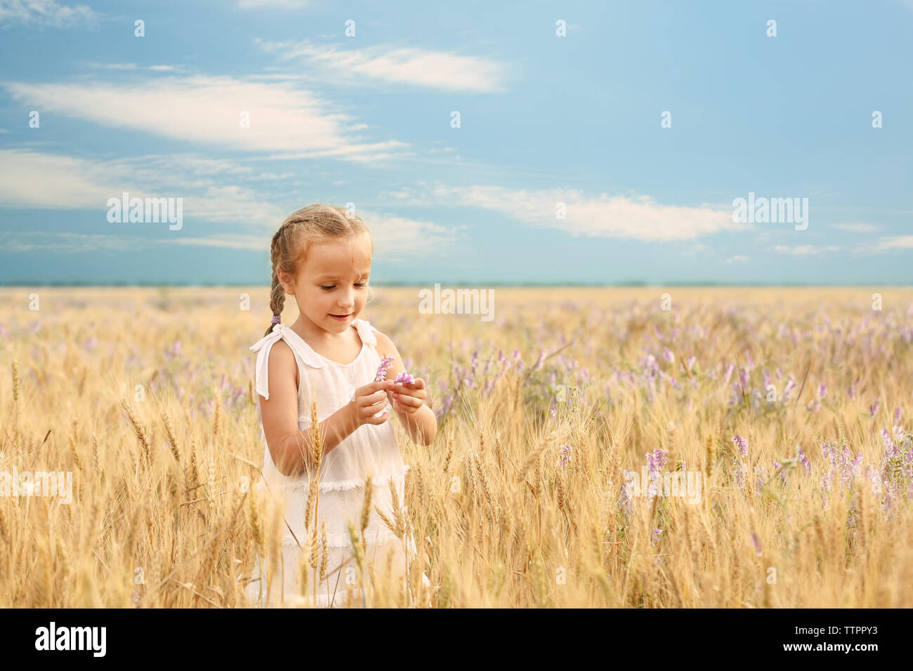 Happy little girl in the field Stock Photo - Alamy