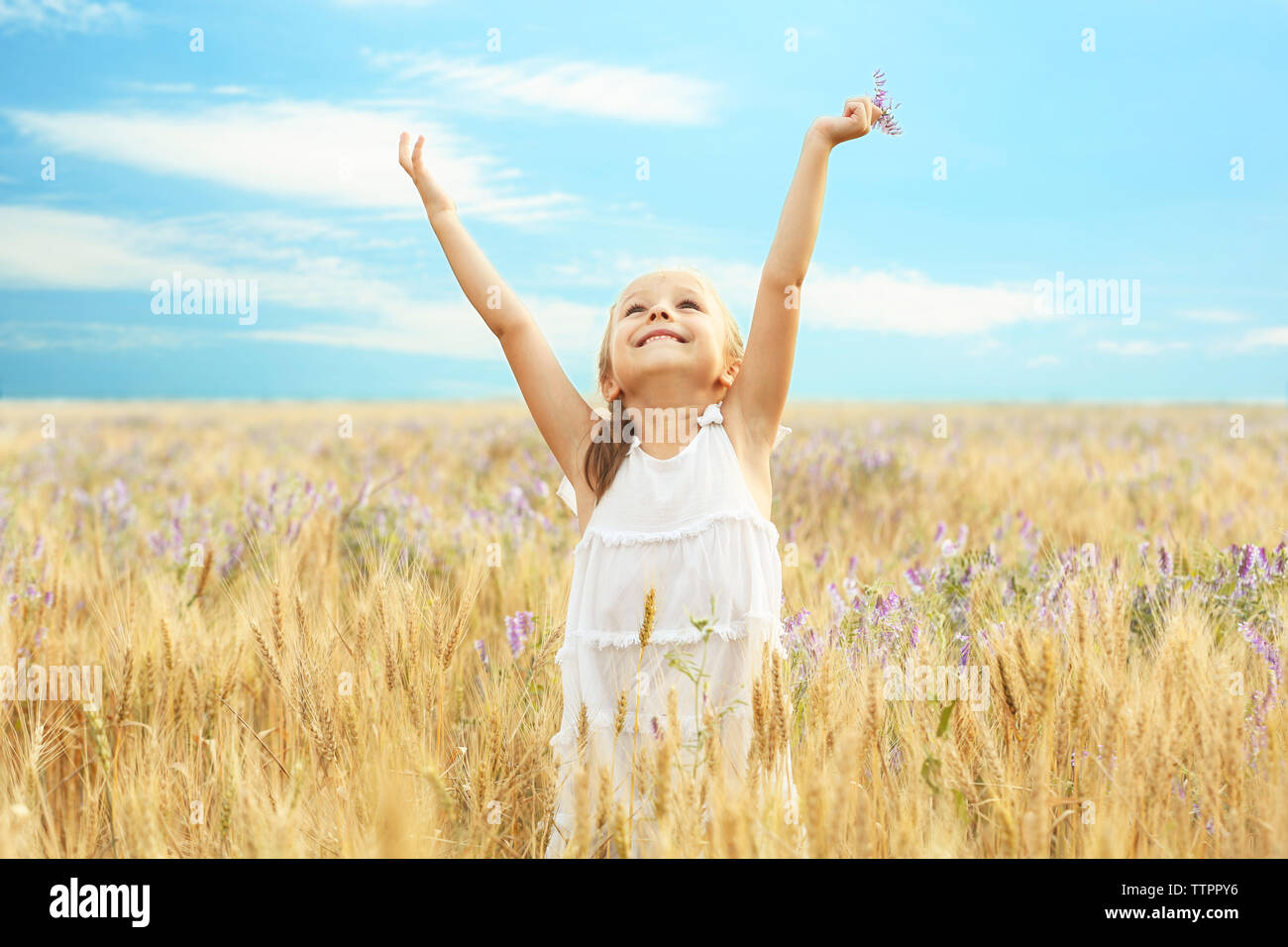 Happy little girl in the field Stock Photo - Alamy