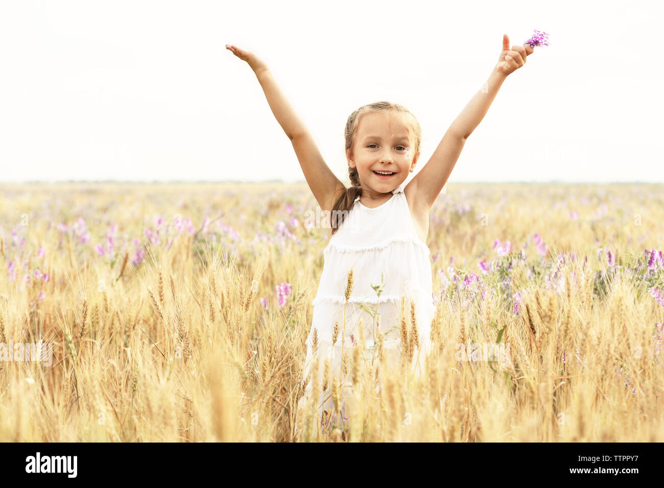 Happy little girl in the field Stock Photo - Alamy
