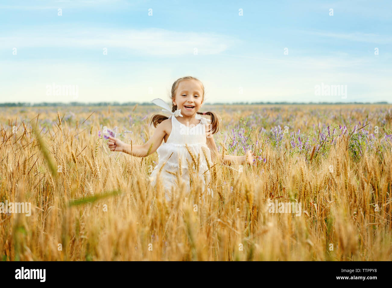 Happy little girl in the field Stock Photo - Alamy