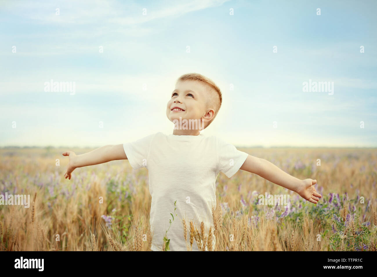 Little happy boy in the field Stock Photo - Alamy