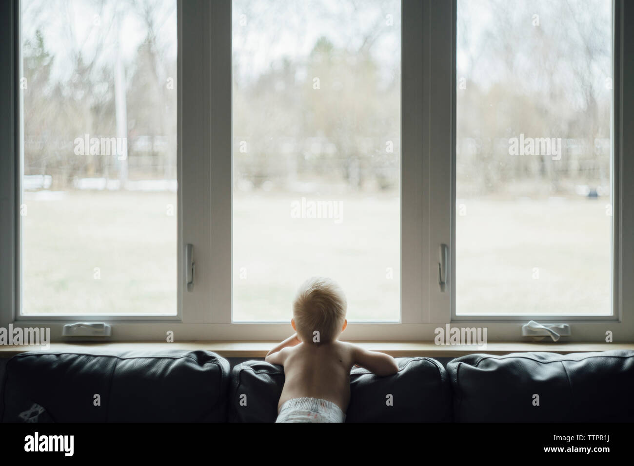 Rear view of shirtless baby boy looking through window while standing ...