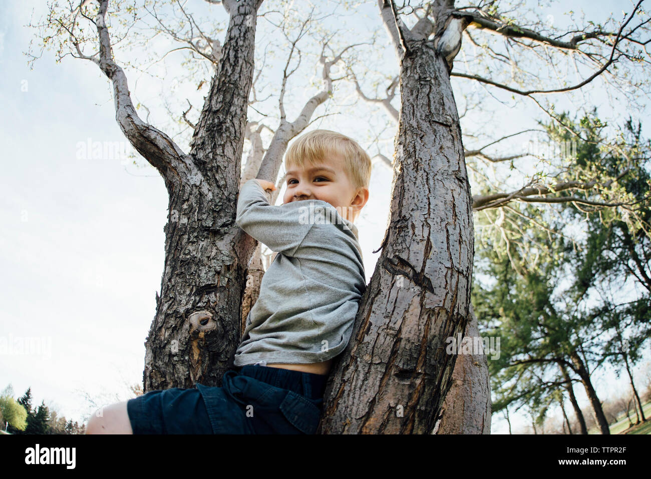 Boy sitting against tree hi-res stock photography and images - Alamy
