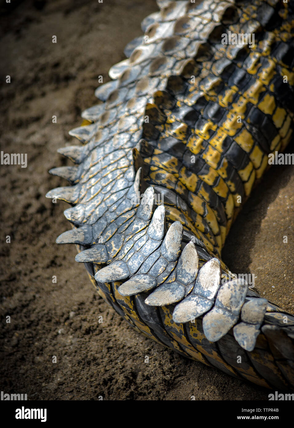 A Look back in Time Stock Photo - Alamy