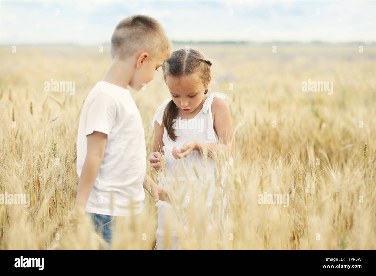 Happy children in the field Stock Photo - Alamy