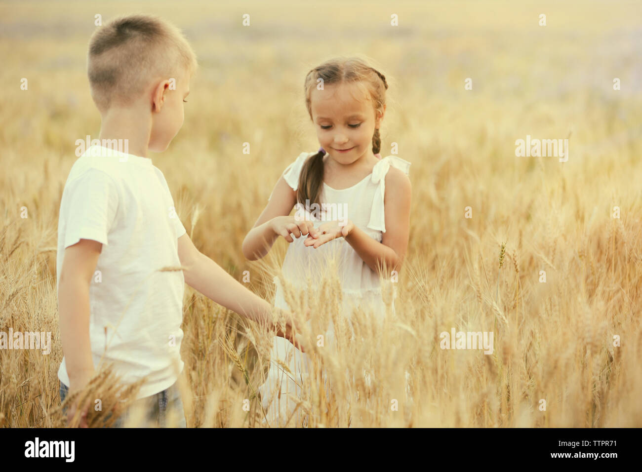 Happy children in the field Stock Photo - Alamy