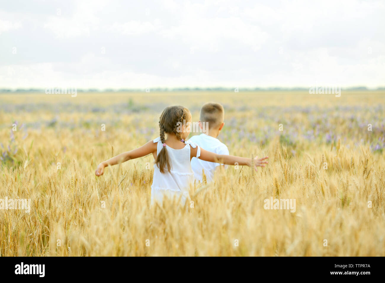 Happy children in the field Stock Photo - Alamy