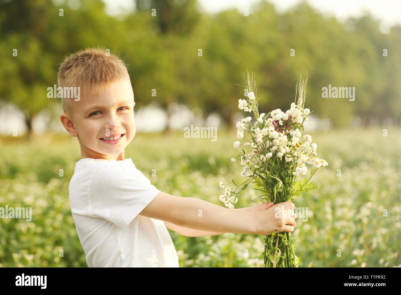 Happy little boy with flowers in the field Stock Photo - Alamy