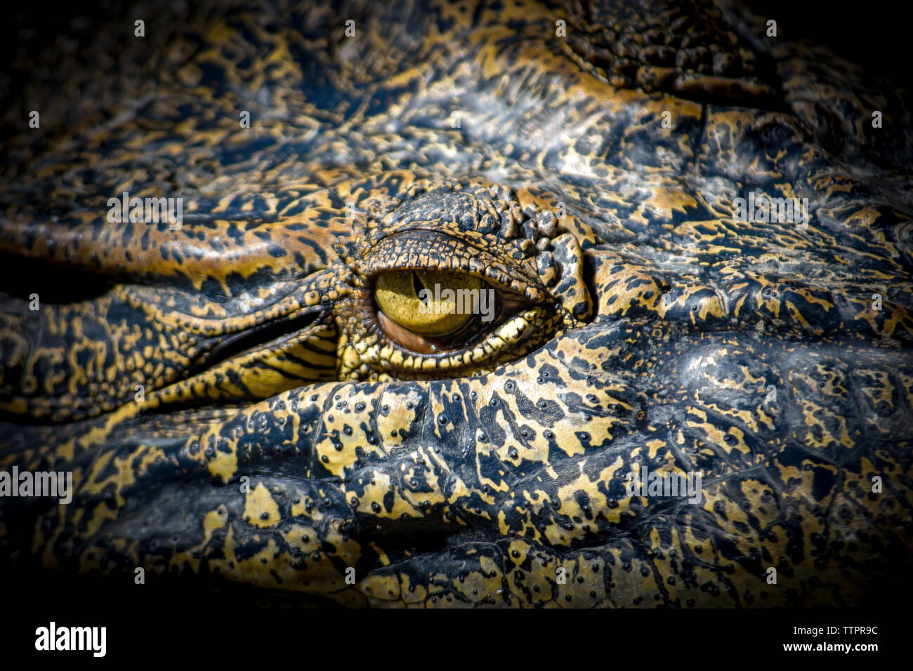 A Look back in Time Stock Photo - Alamy