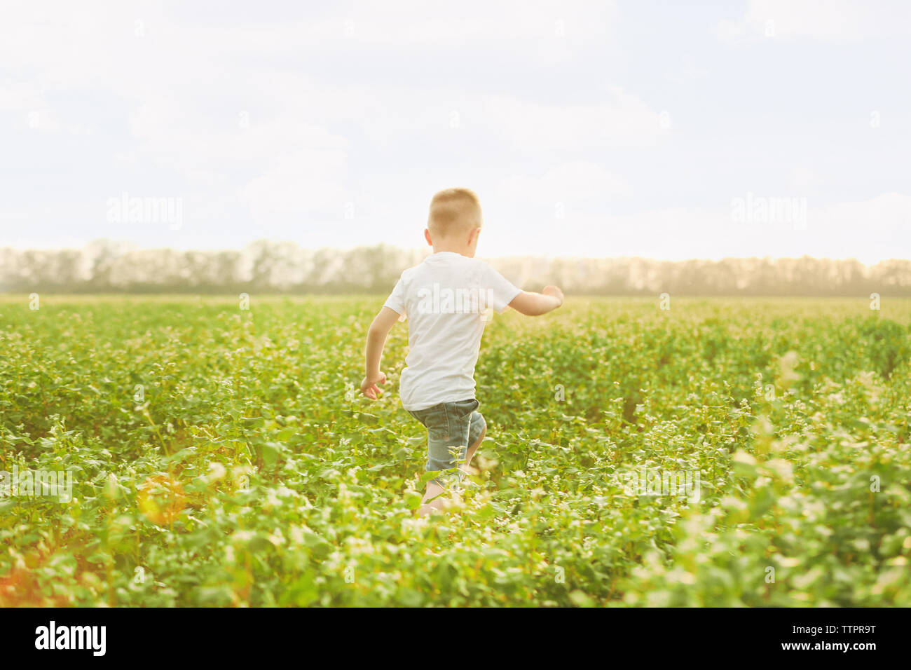 Happy little boy in the field Stock Photo - Alamy