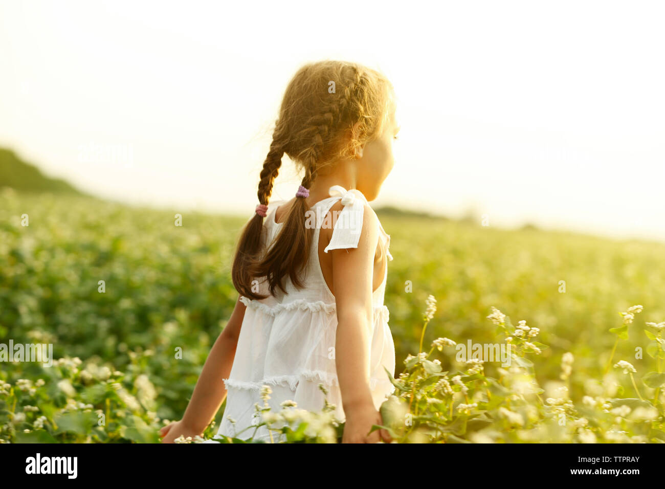Happy little girl in the field Stock Photo - Alamy