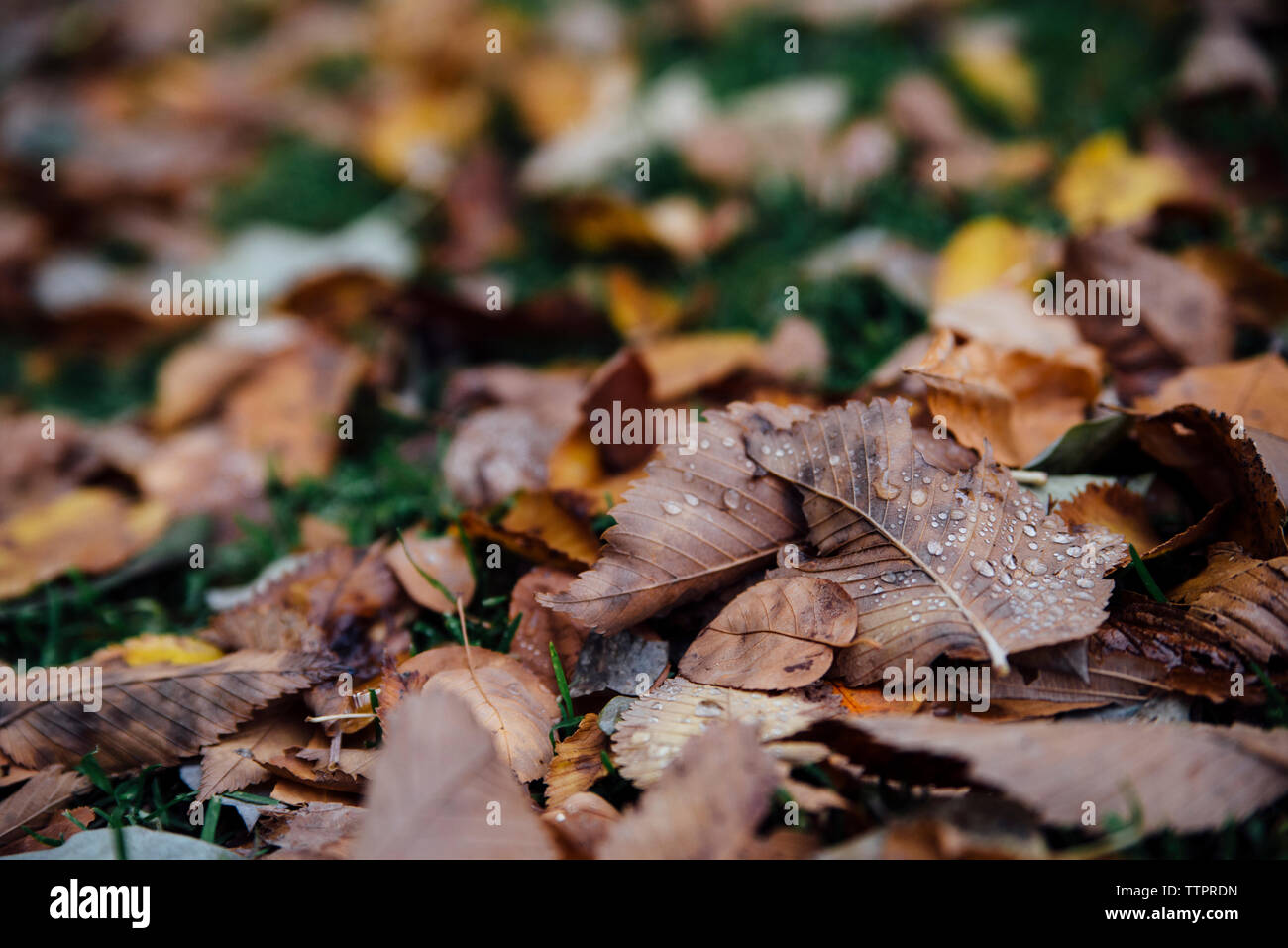 Field change hi-res stock photography and images - Alamy