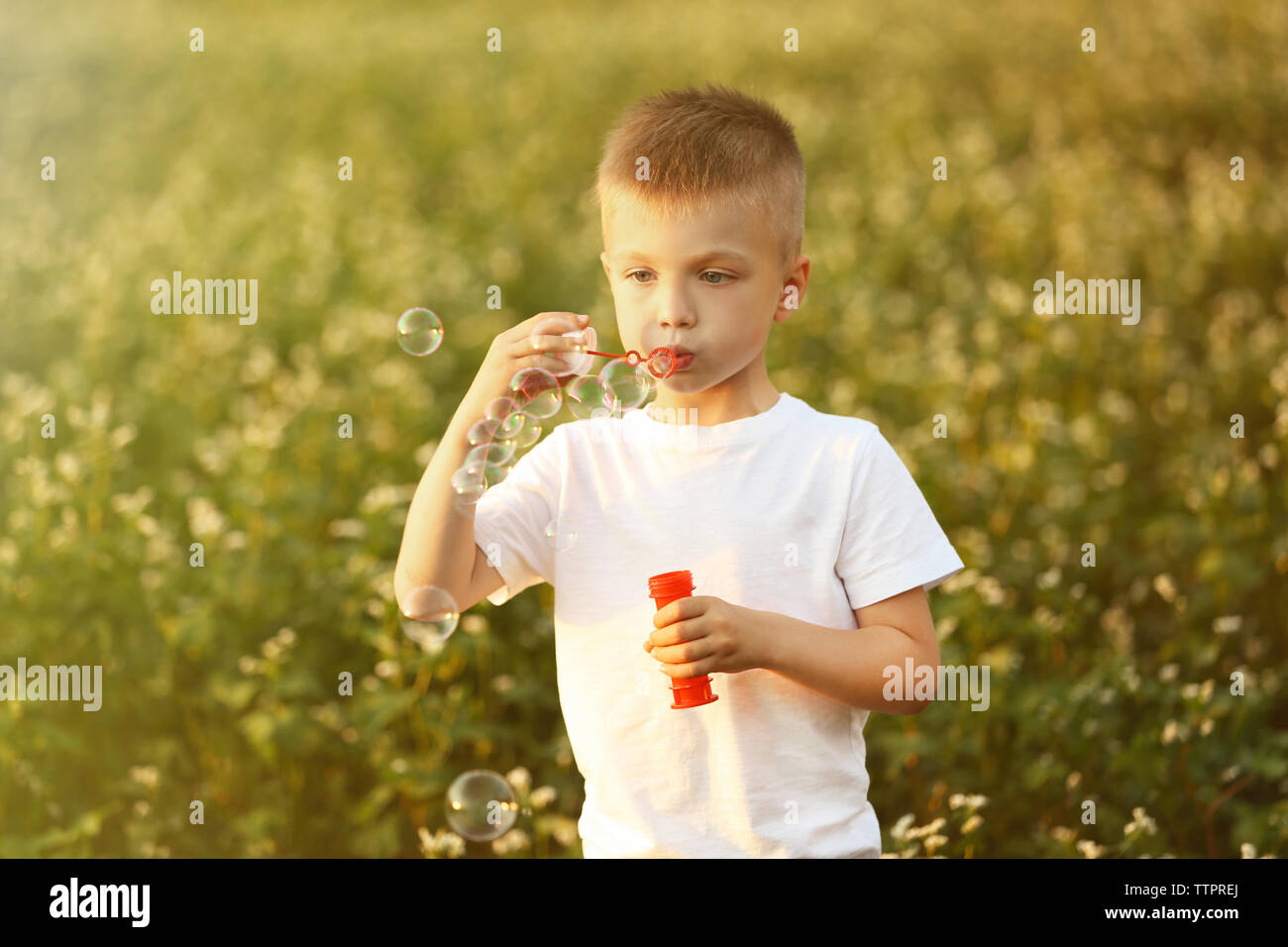 Little boy with bubbles in the field Stock Photo - Alamy