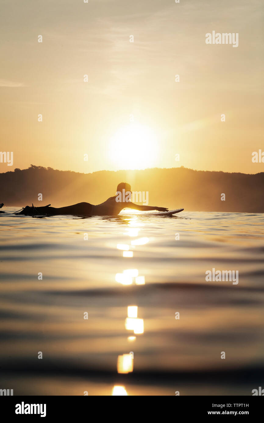 Side view of female surfer lying on surfboard in sea during sunset ...