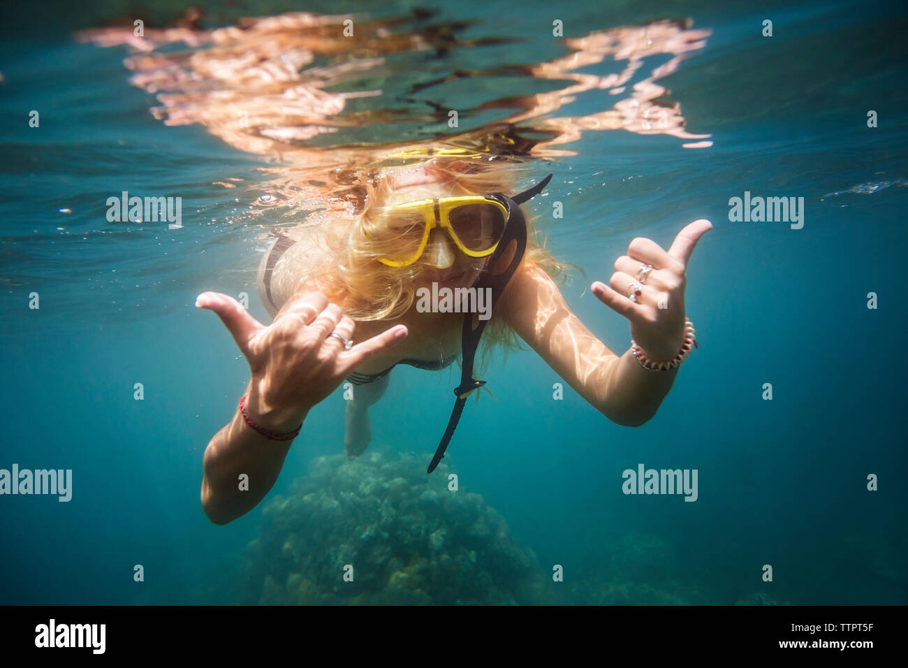 Woman swimming underwater bikini hi-res stock photography and images ...