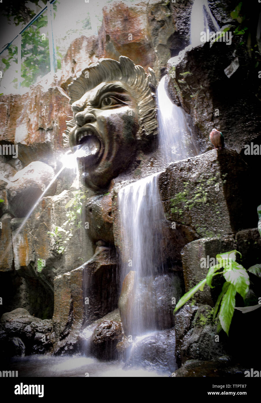 Watery wall hi-res stock photography and images - Alamy