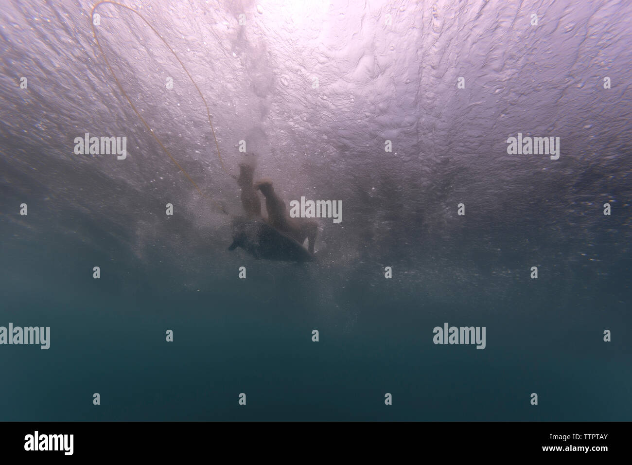 Low angle woman underwater hi-res stock photography and images - Alamy