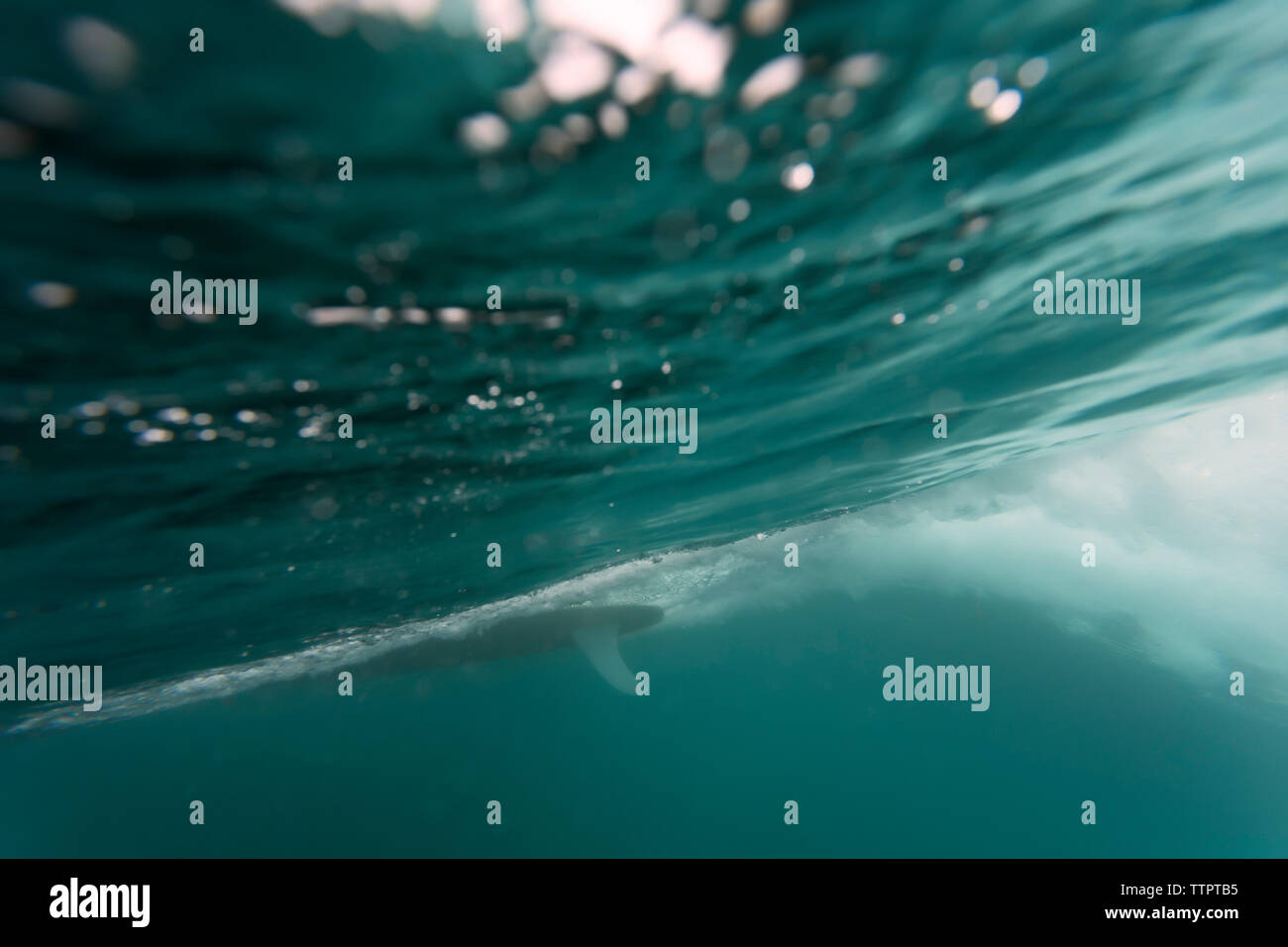 Undersea view hi-res stock photography and images - Alamy