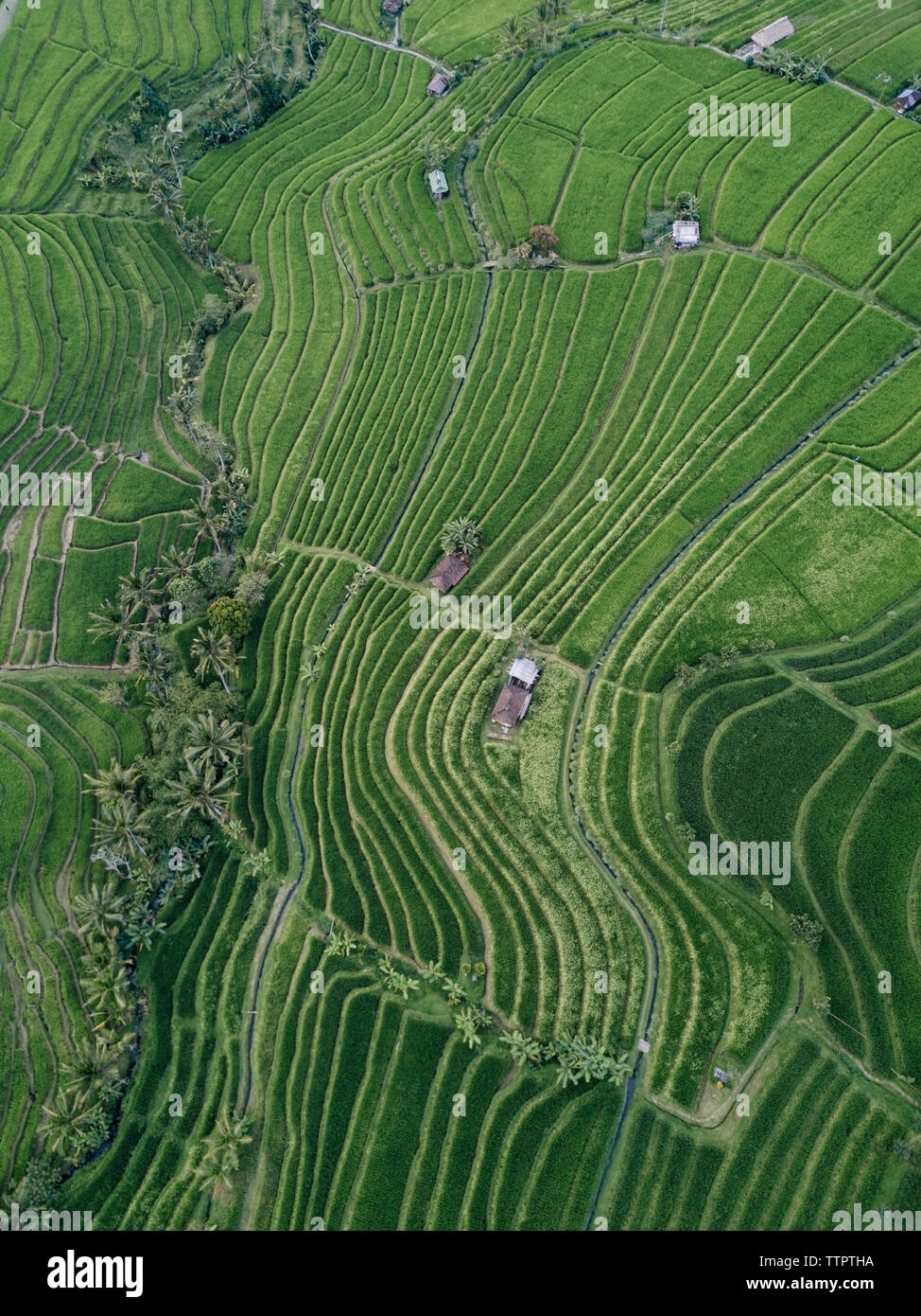 Agricultural pattern hi-res stock photography and images - Alamy