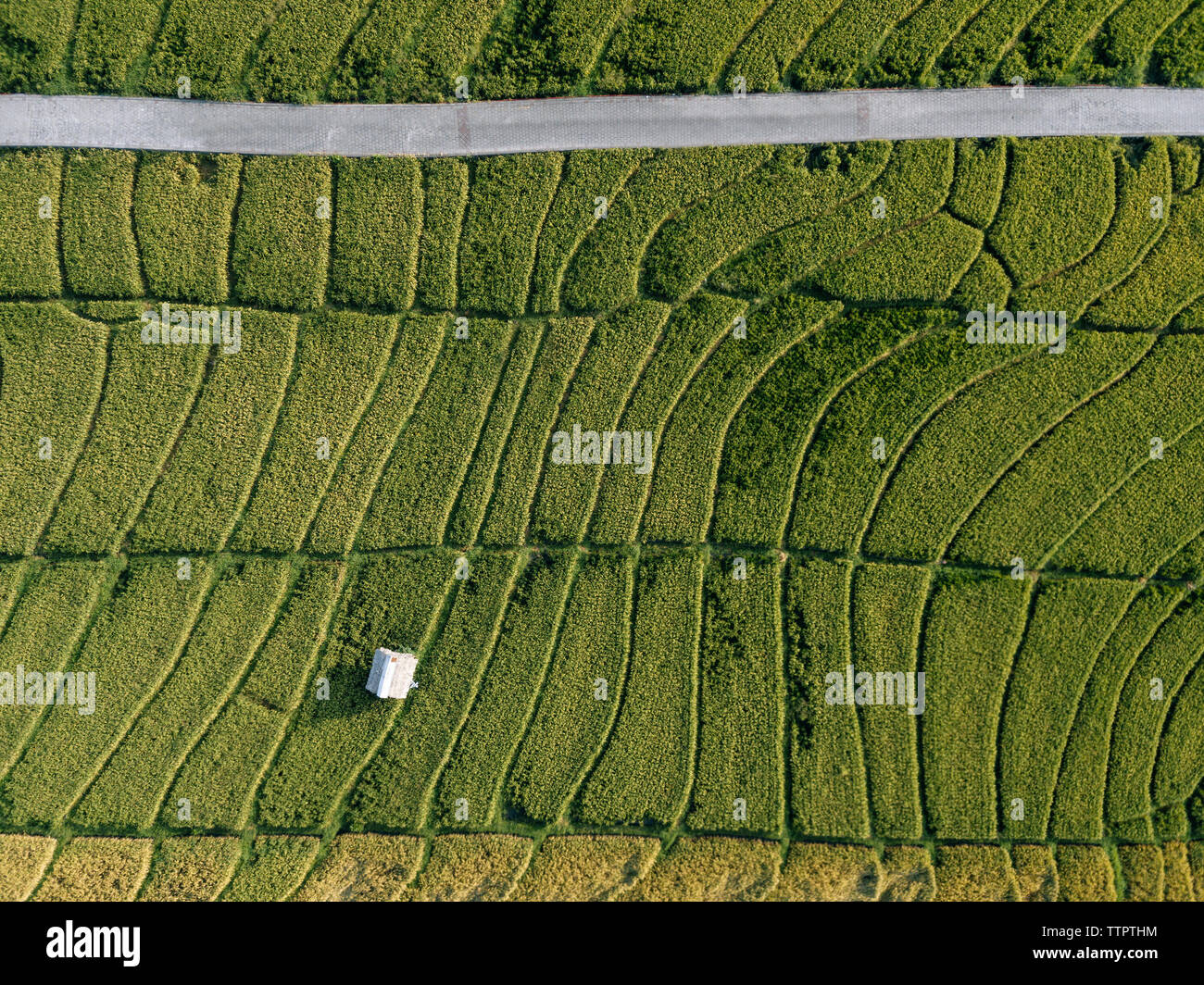 Aerial view of green landscape Stock Photo - Alamy