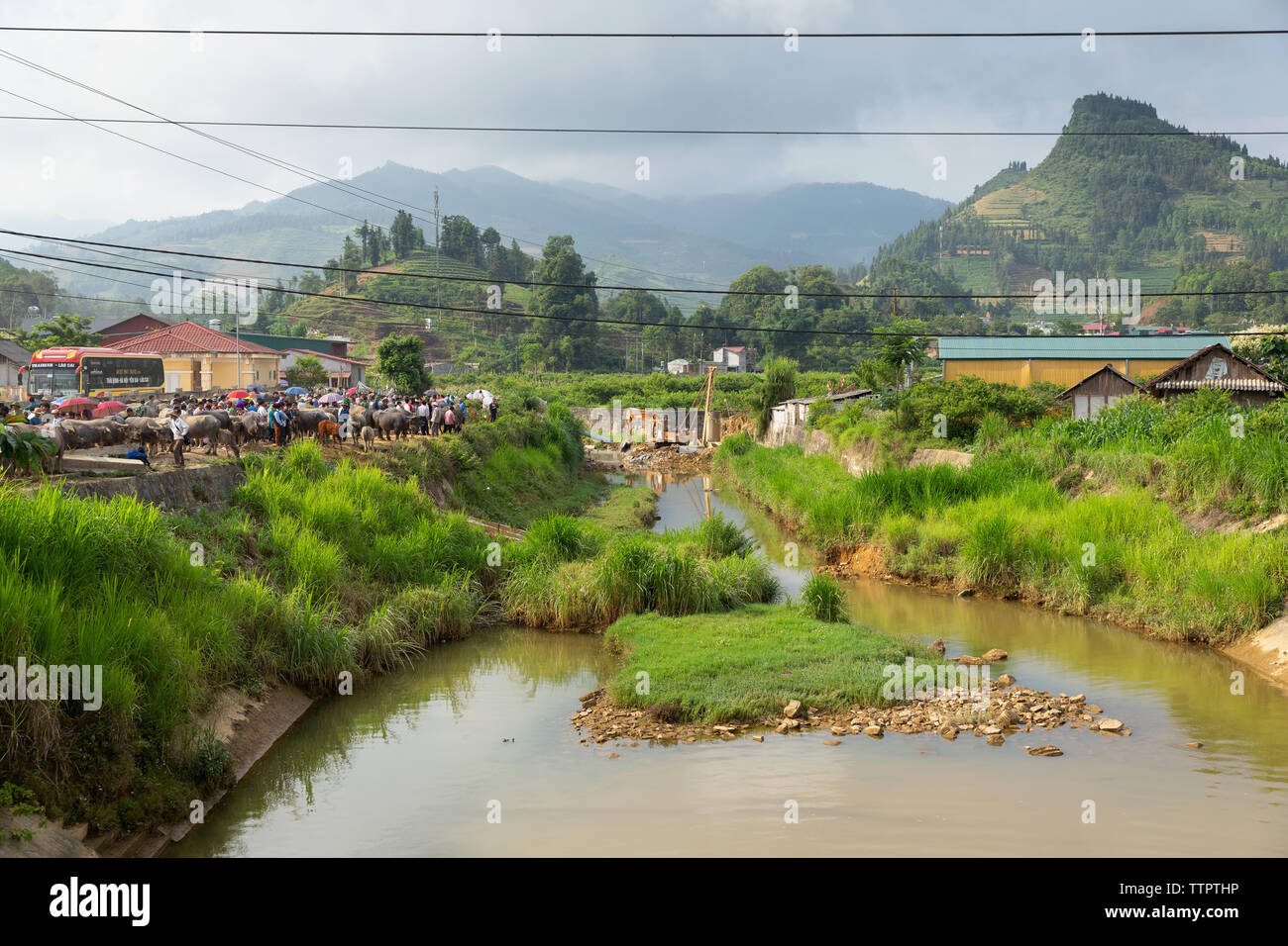 Panoramic view of livestock trading market, Bac Ha, Lao Cai Province ...