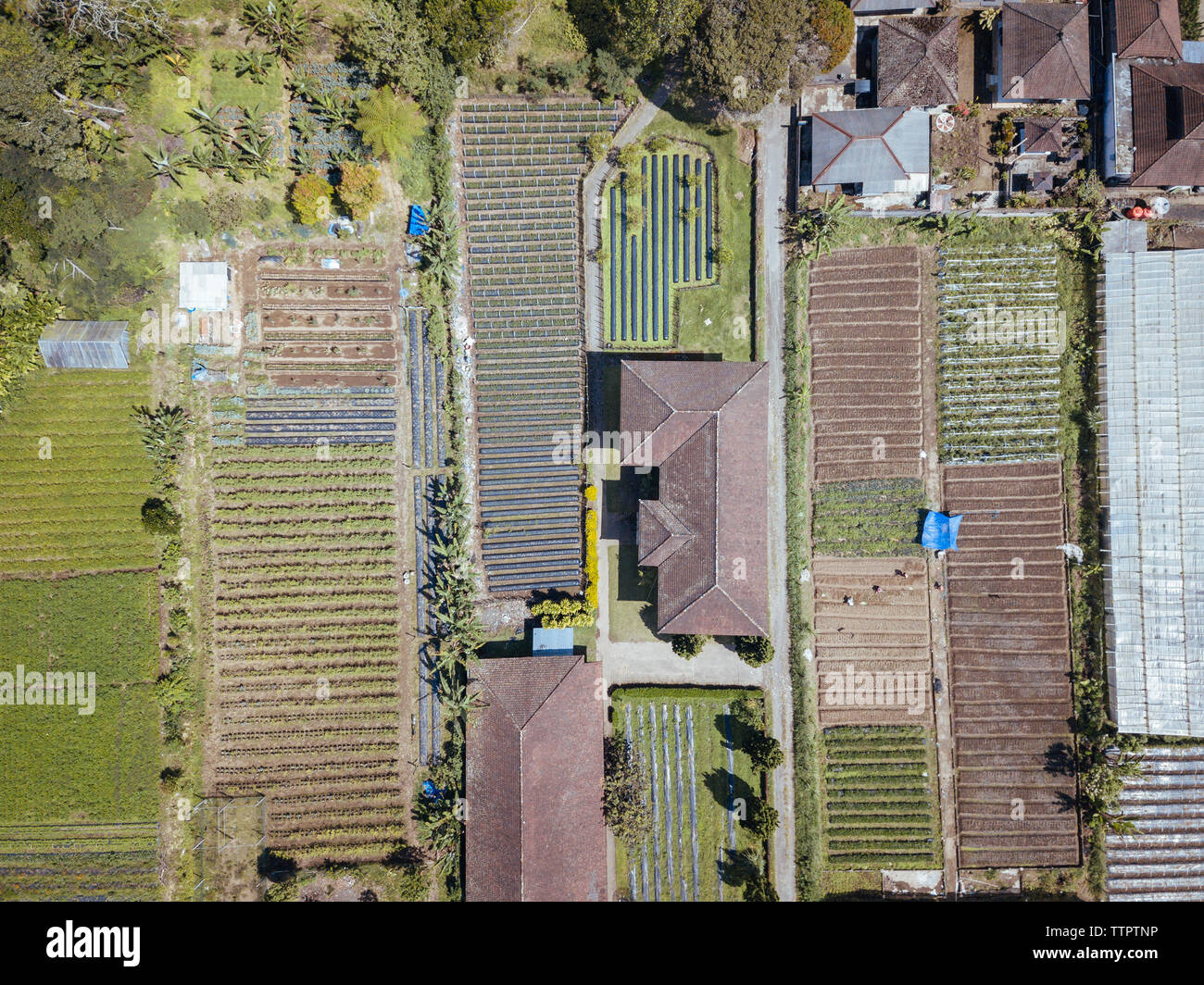 Aerial view of greenhouse hi-res stock photography and images - Alamy