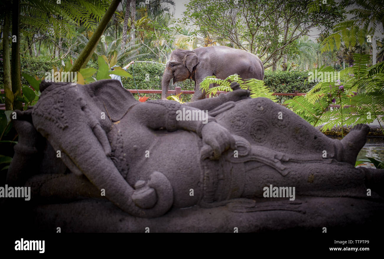 The natural temple, Bali Stock Photo - Alamy