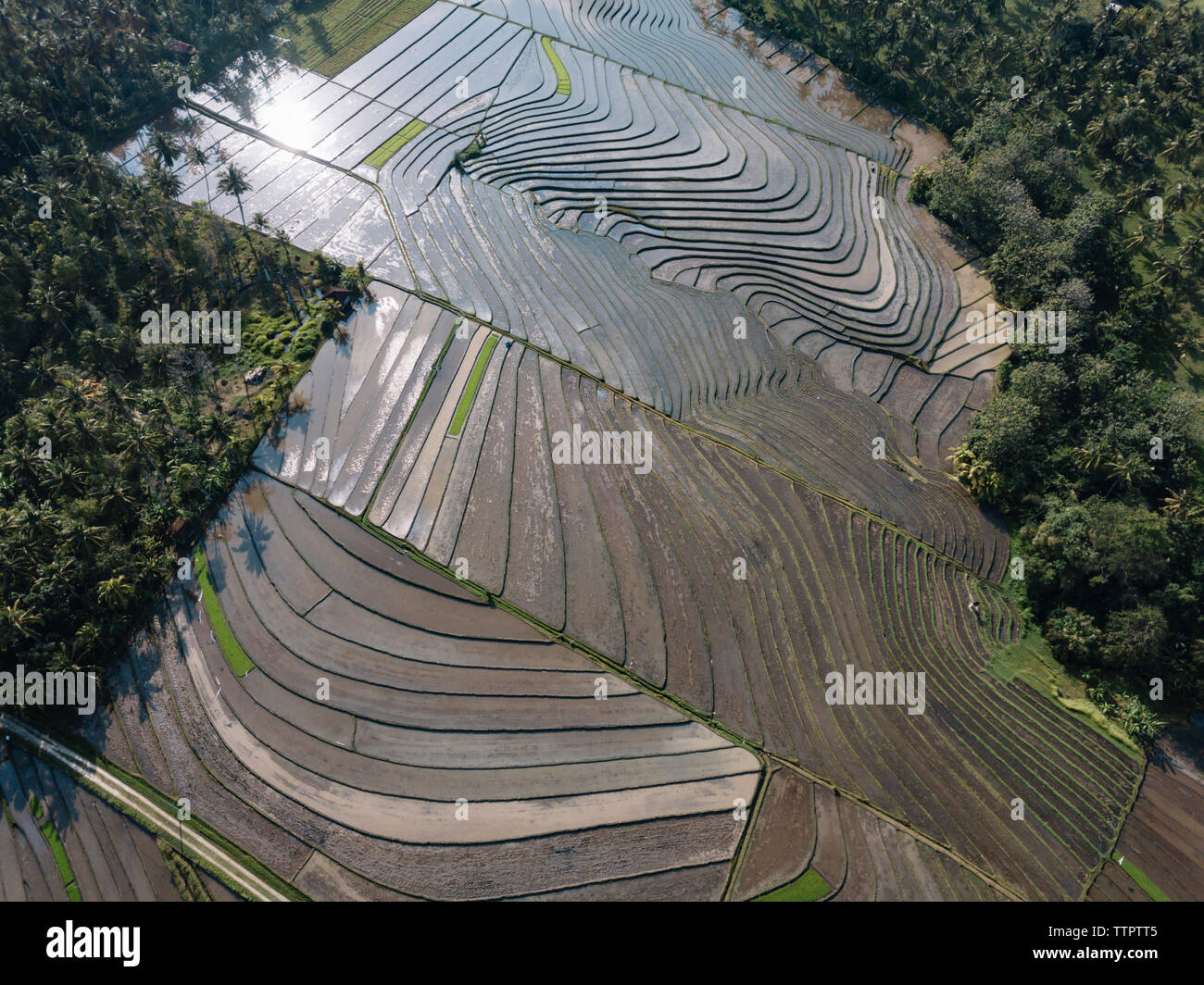 Aerial view of patchwork landscape at Bali Stock Photo - Alamy