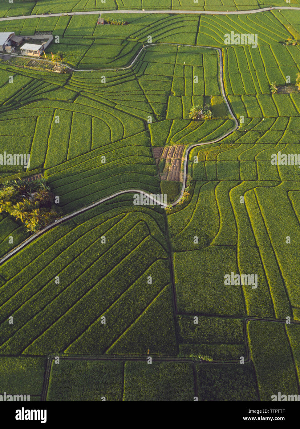 Aerial view crops hi-res stock photography and images - Alamy