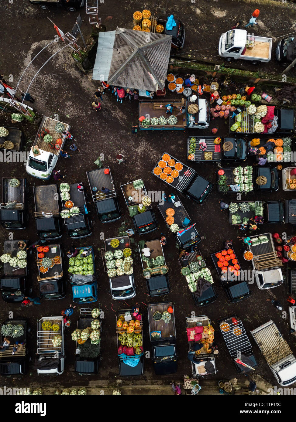 Aerial view group tourist hi-res stock photography and images - Alamy