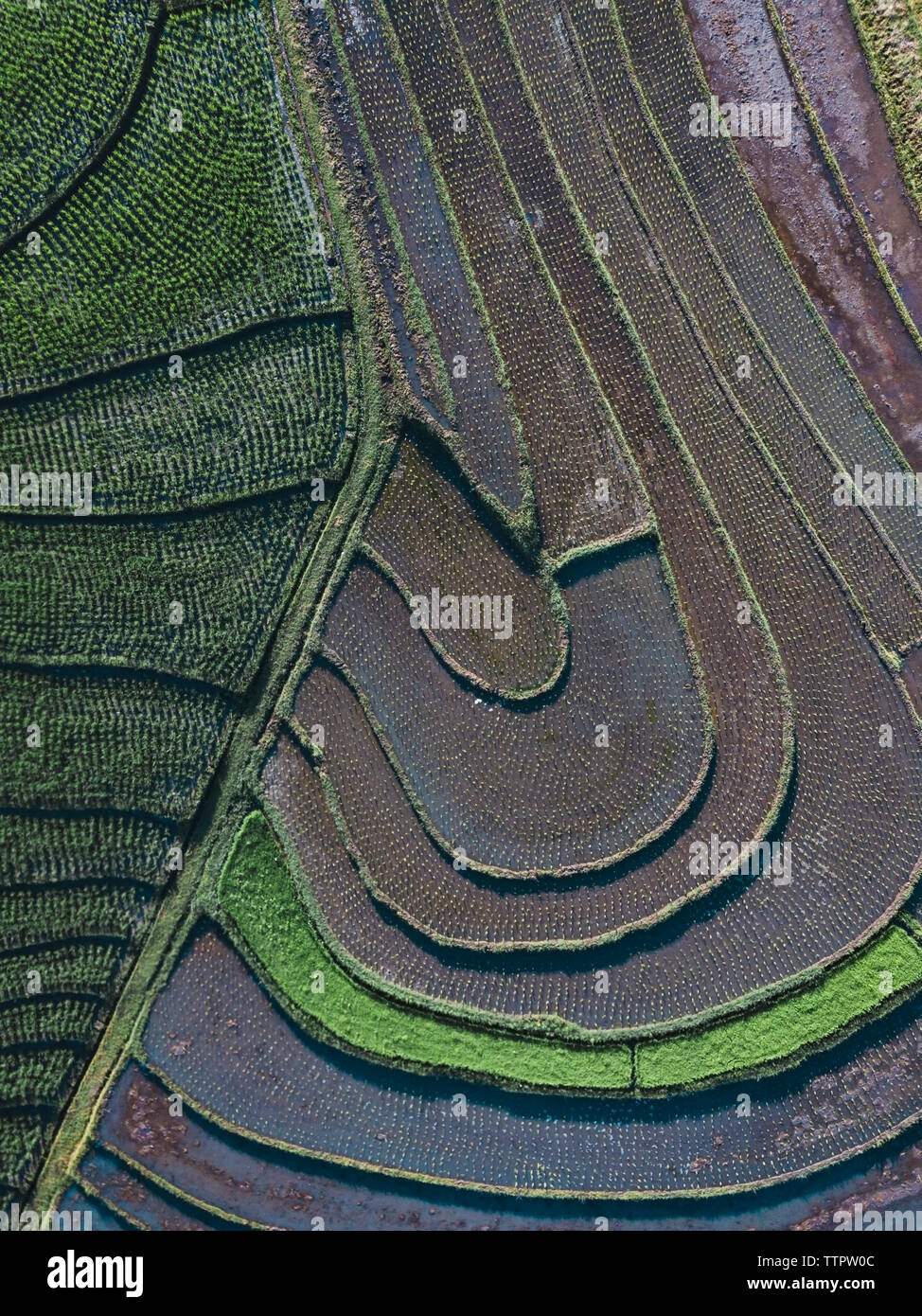 Filed aerial hi-res stock photography and images - Alamy