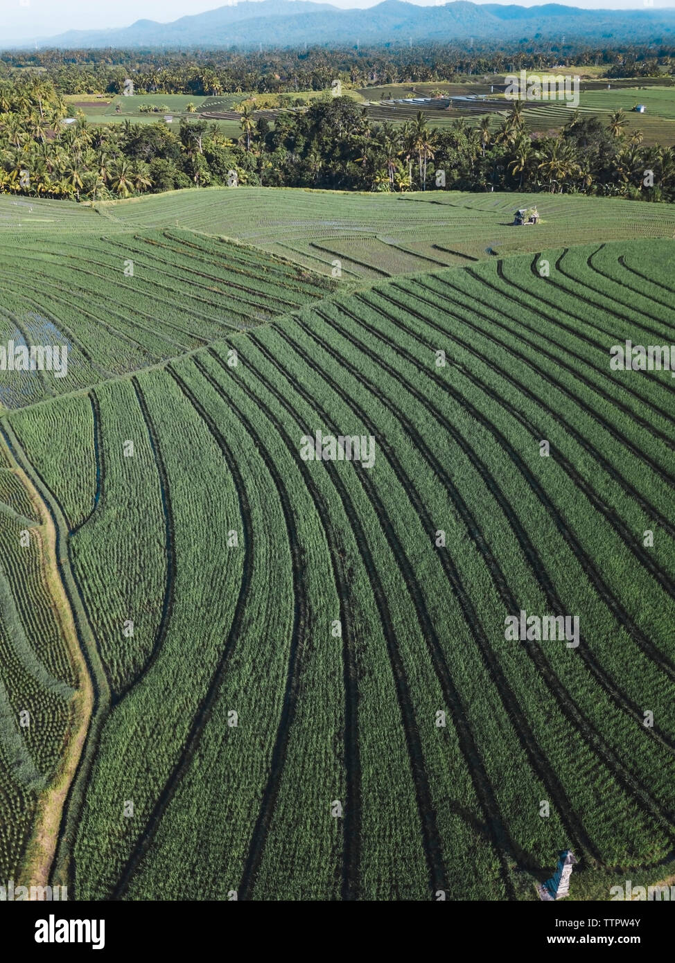Terraced rice filed hi-res stock photography and images - Alamy