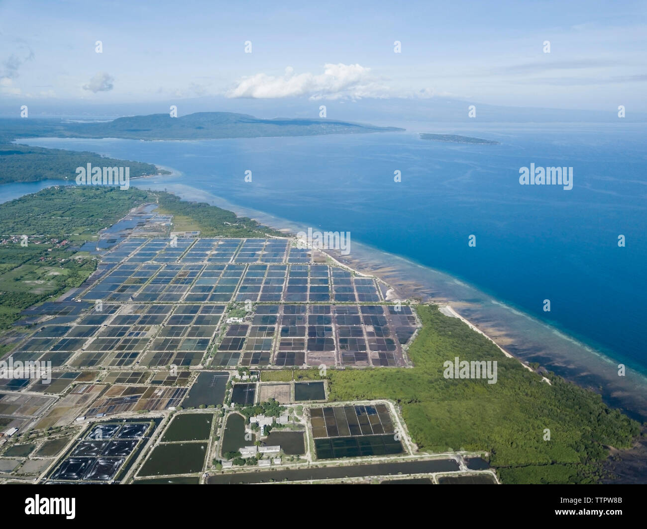 Plantations field hi-res stock photography and images - Alamy