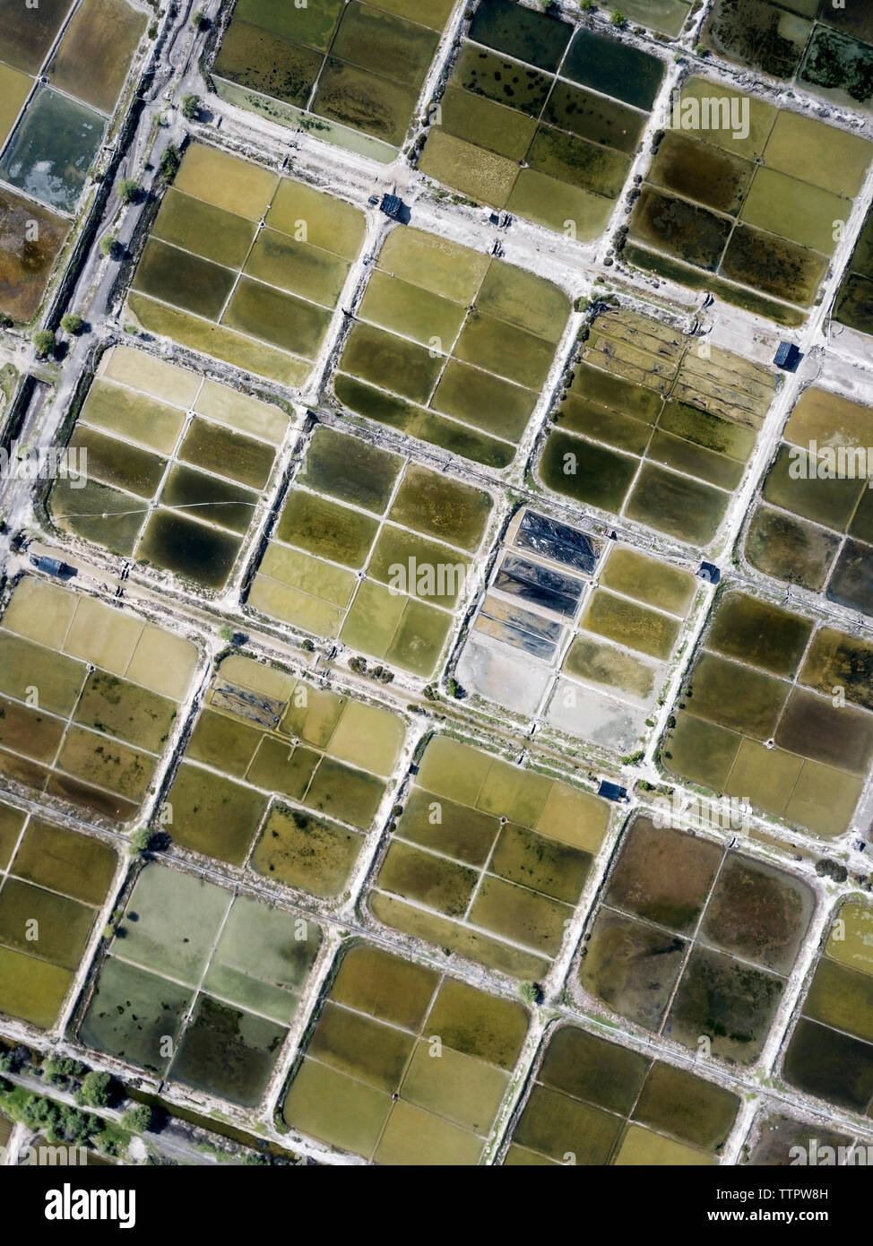 Aerial view of Salt plantations Stock Photo - Alamy